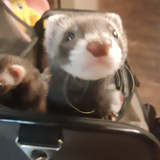 Business simulation game - Sim Companies